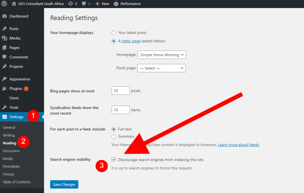 How to Noindex with the All In One SEO Pack | SEO Consultant South Africa